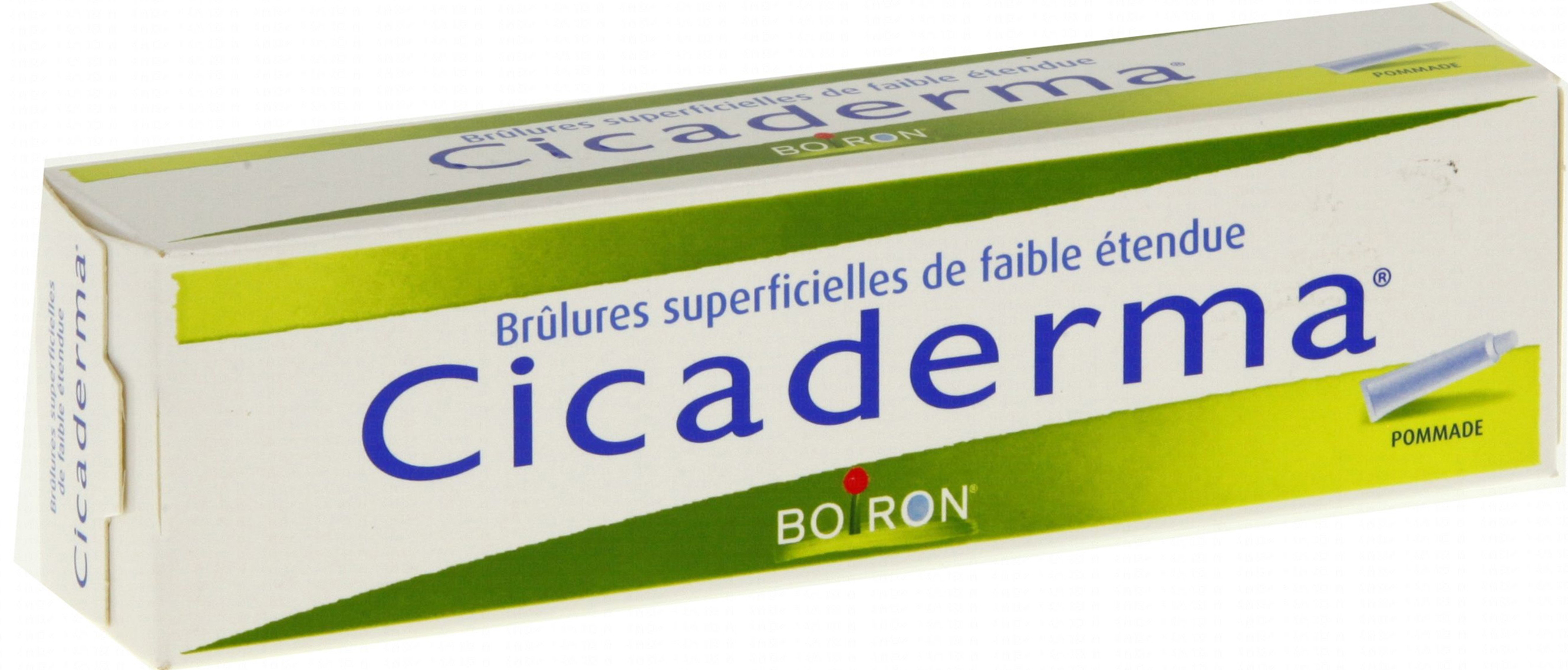 Cicaderma Brûlures Pommade - 30 g | Pharmacie & parapharmacie en ligne
