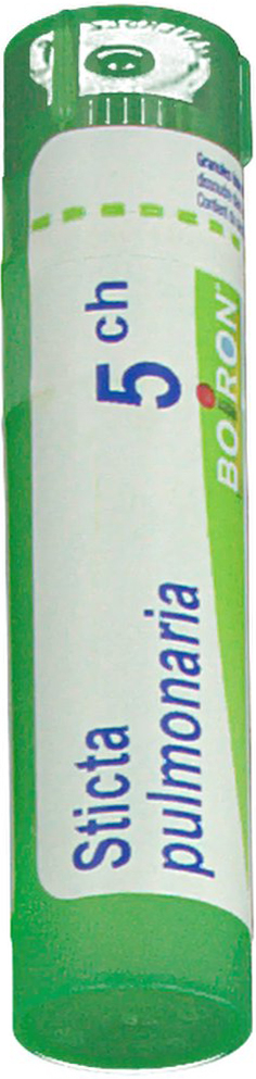 Boiron Sticta Pulmonaria 5 CH - 80 granules | Pharmacie & parapharmacie ...