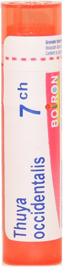 Boiron Thuya Occidentalis 7 CH - 1 dose | Pharmacie & parapharmacie en ligne